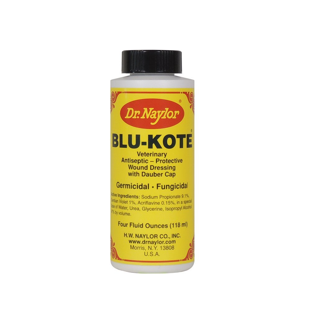 Dr. Naylor Blu-Kote Dauber (4 Oz.) - Fast Drying Antiseptic Wound Dres ...