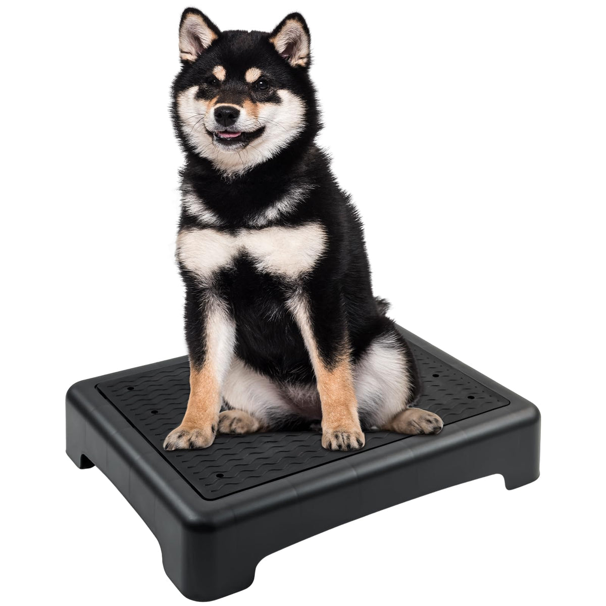 Dog Training Place Board With Non-Skid Surface, Dog Platform For Train ...