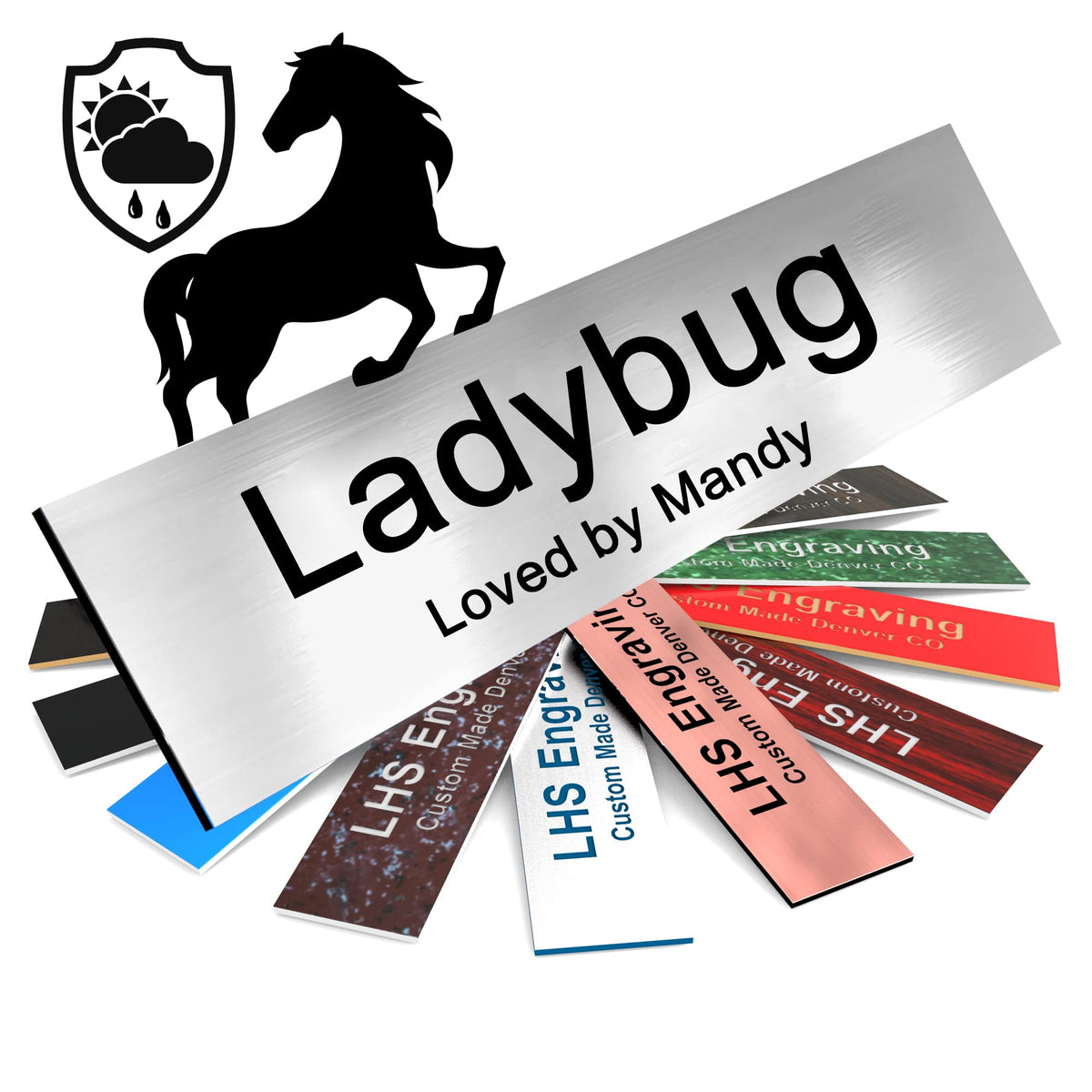 Lhs | Personalized Horse Stall Name Plates, 2X12 Horse Stall Signs Wit ...