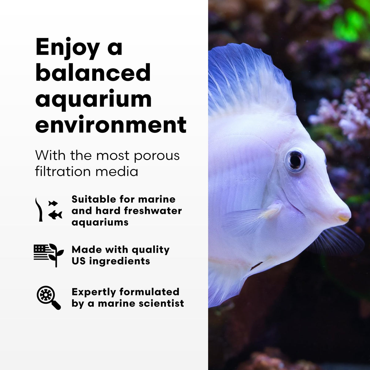 Brightwell Aquatics - Xport-BIO Block Aquarium Filter - Biological ...