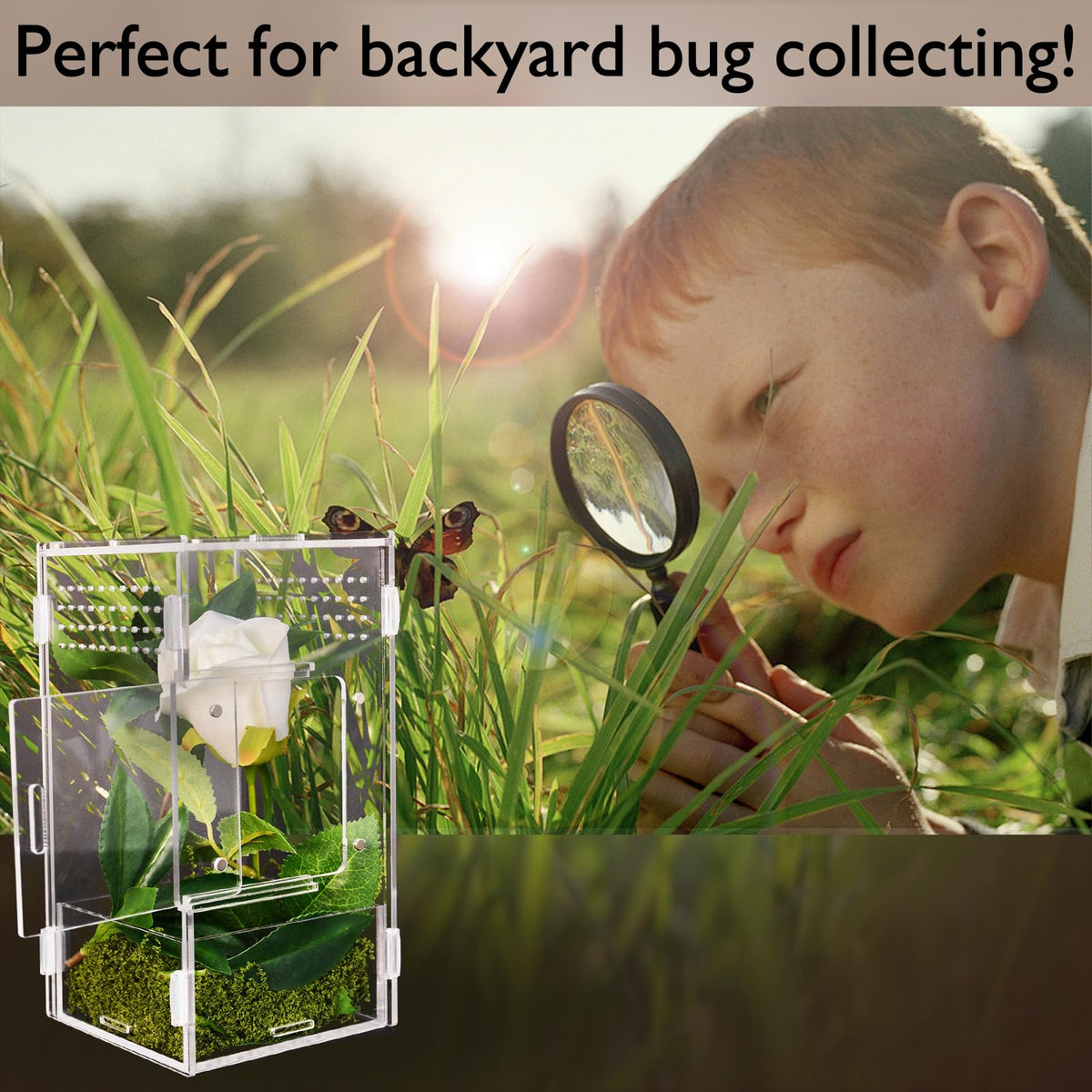 Acrylic Jumping Spider Enclosure, 6 * 6 * 9 Inch Large Tarantula Enclo ...