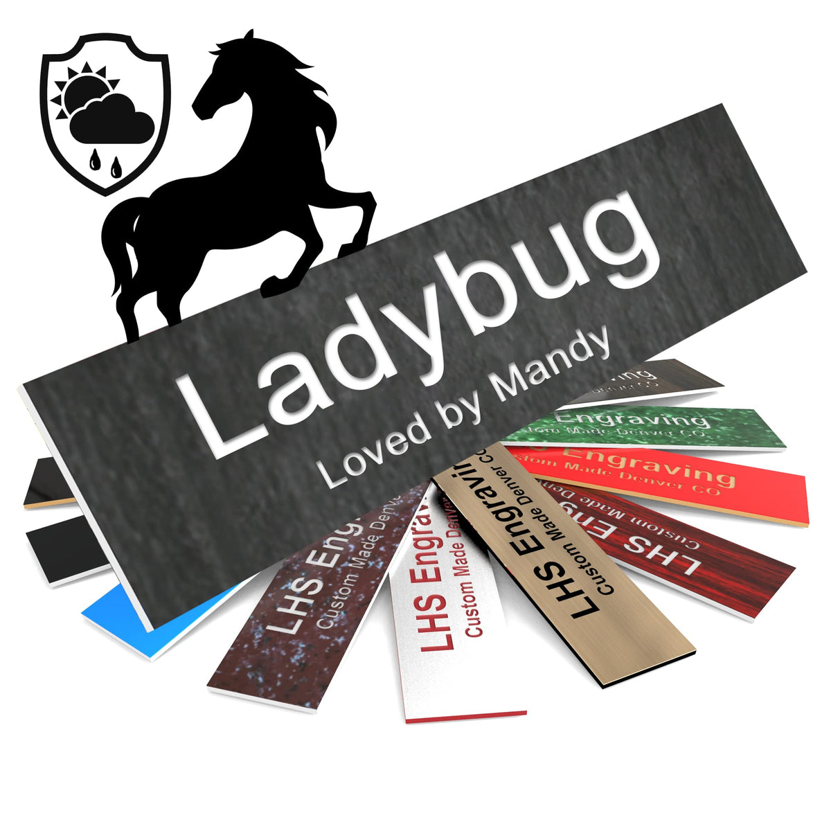 Lhs | Personalized Horse Stall Name Plates, 2X8 Horse Stall Signs With ...