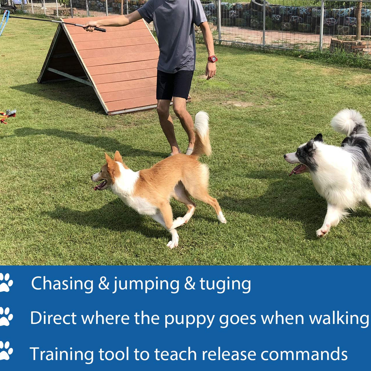 Interactive Flirt Pole Toy for Dogs Chase and Tug of War,Durable Teaser ...