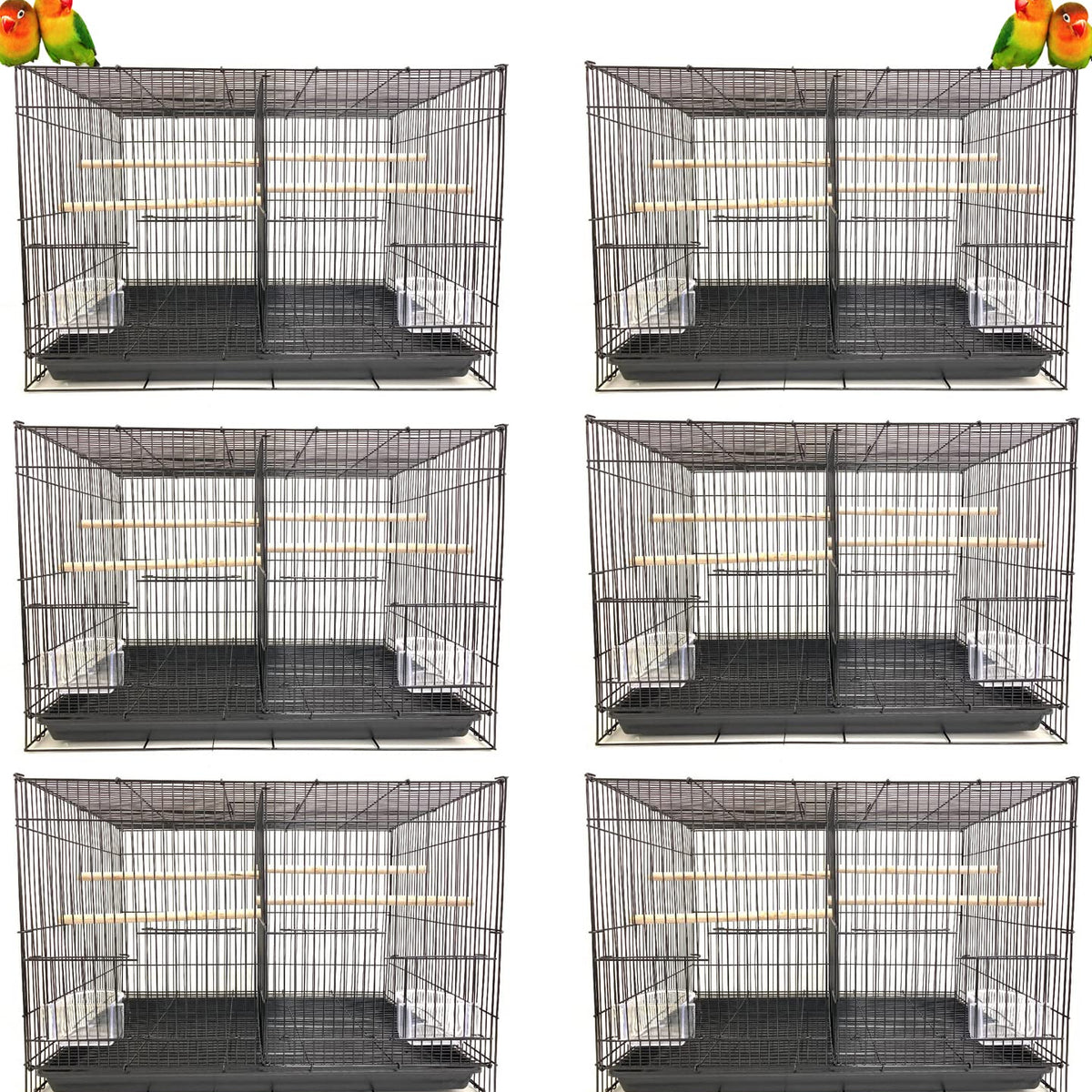 Small Aviary Canary Finch Budgie Lovebird Parakeet Breeding Bird Flight ...