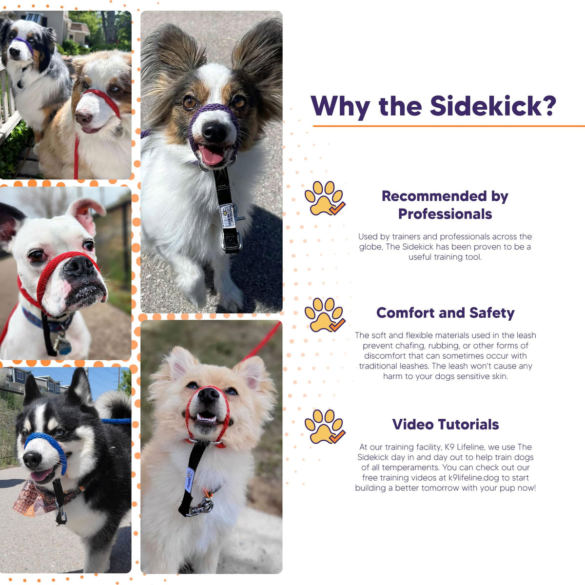 Heather'S Heroes The Sidekick No-Pull Leash Blue – Petocart
