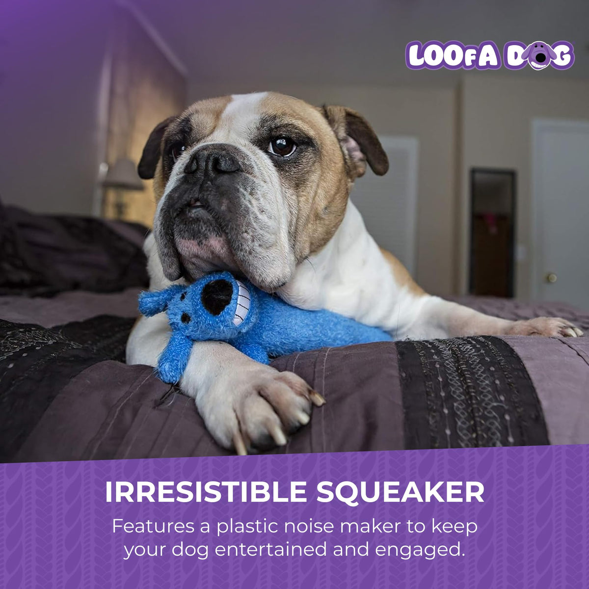 Multipet International Original Loofa Dog Mini 6-Inch Dog Toy (Assorted ...